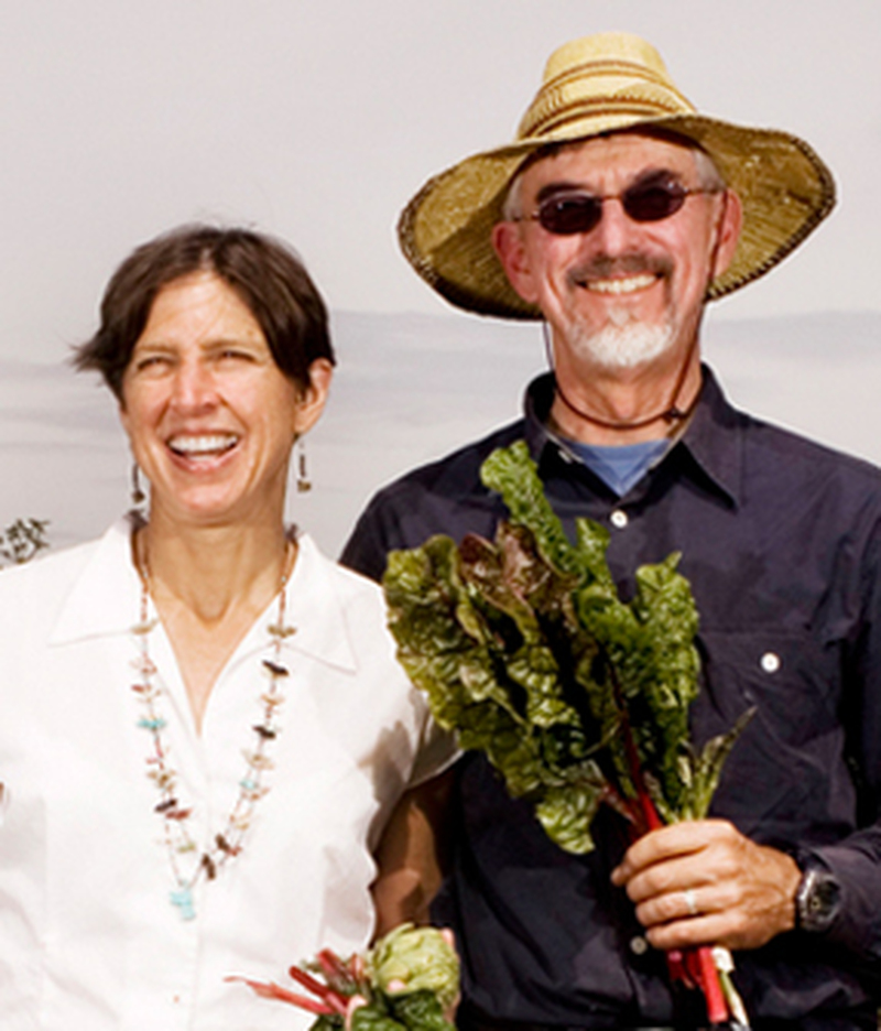 Raoul Adamchak - TEDMED - Talks