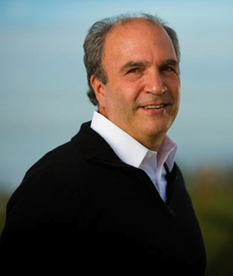 Stein - TEDMED - Talks